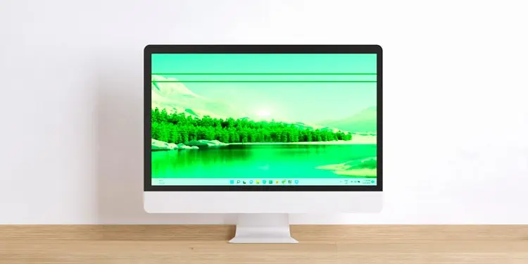 Mein Monitorbildschirm ist grün – Warum und wie ich das Problem beheben ...
