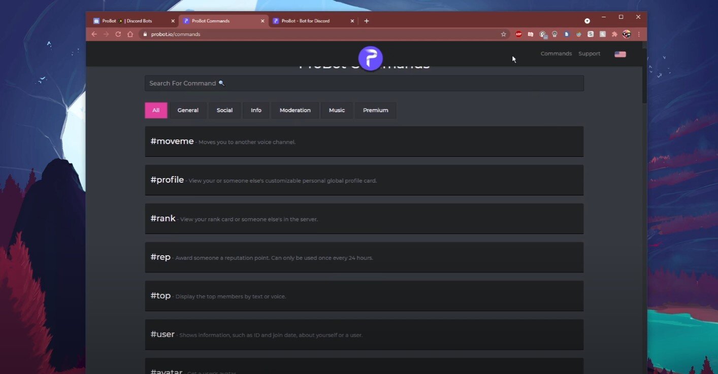 Comment installer et utiliser Probot sur Discord - Tutoriel