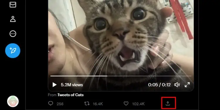 Comment intégrer une vidéo sur Twitter ? - Mundo Geek