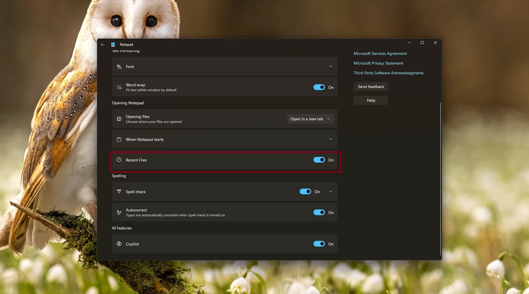 Microsoft ajoute la fonction de fichiers «récents», bouton de copilote ...