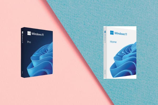 Différence entre Windows 11 Famille et Pro : tout ce que vous devez ...