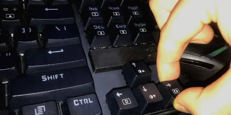 Cara Melepas Tombol Keyboard (Panduan Pemula) - Mundo Geek