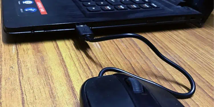 Mengapa Mouse Saya Tidak Berfungsi? 20 Cara Memperbaikinya - Mundo Geek