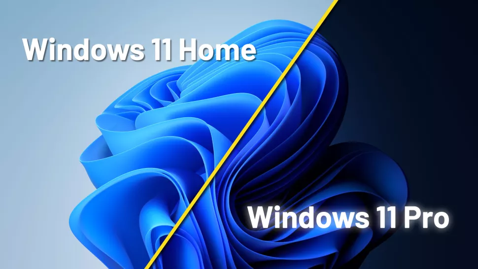 Differenza tra Windows 11 Home e Pro: quale dovrei scegliere?