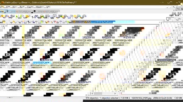 7 delle migliori alternative al visualizzatore di foto di Windows 10