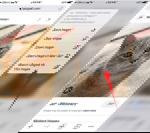Come eseguire una ricerca inversa di immagini su iPhone e iPad