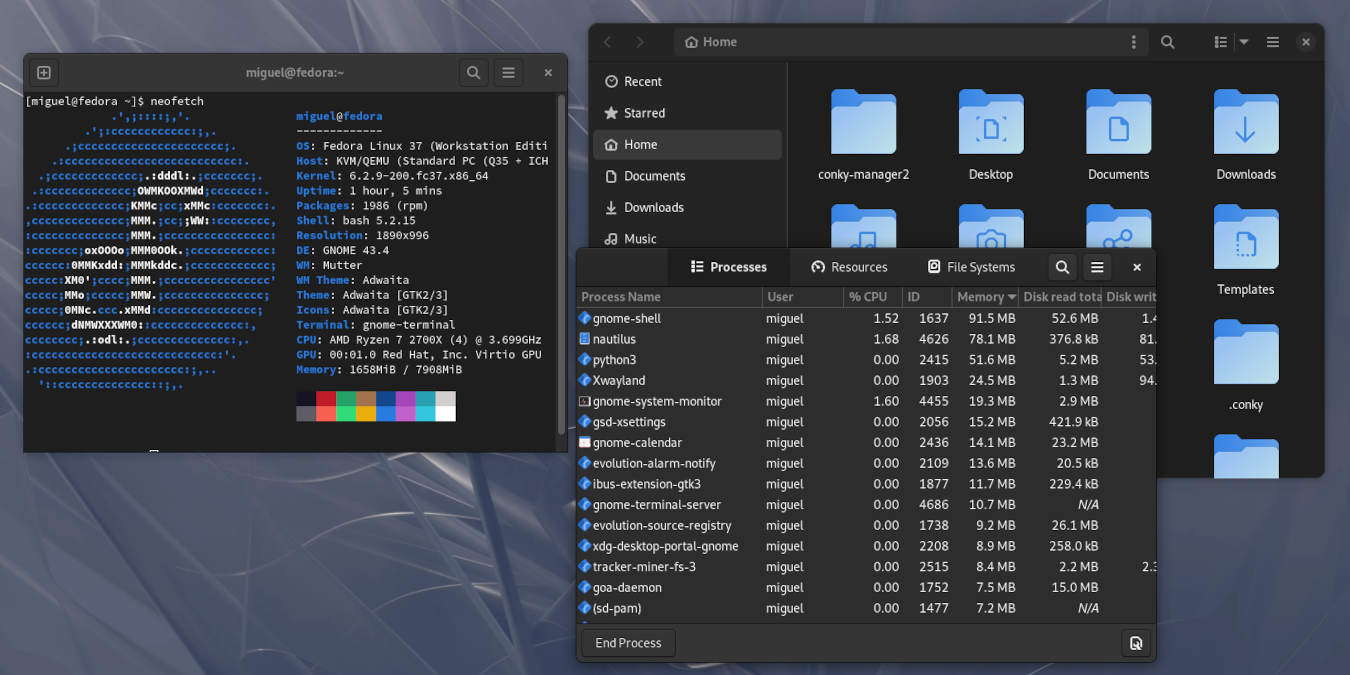 Cos'è Wayland e cosa significa per gli utenti Linux?