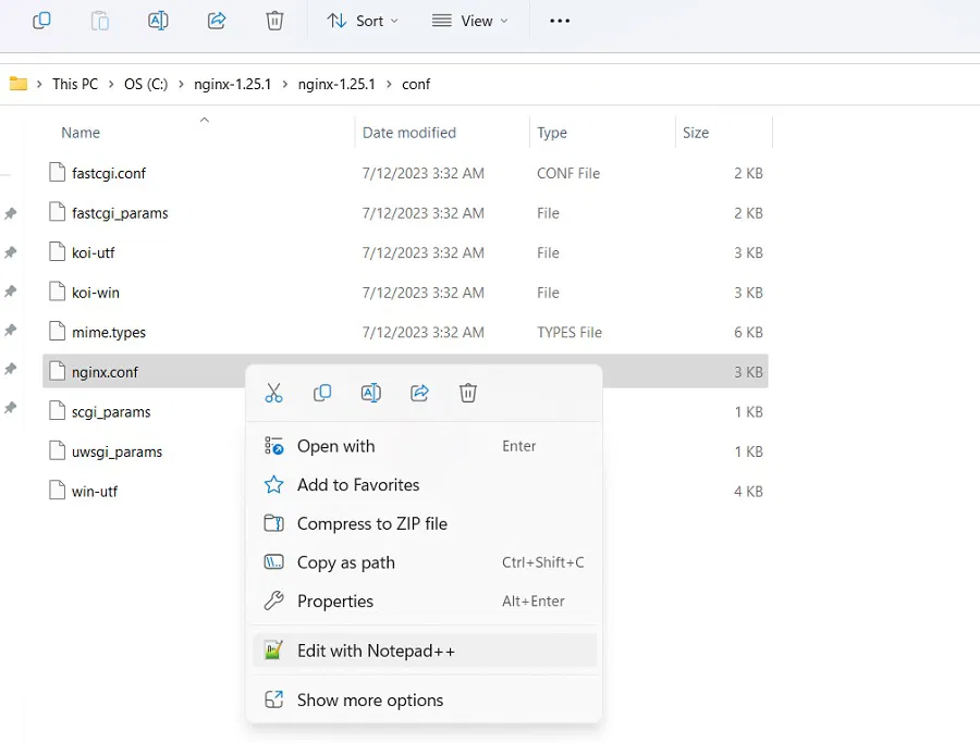 Come installare ed eseguire il server Nginx su Windows - Mundo Geek