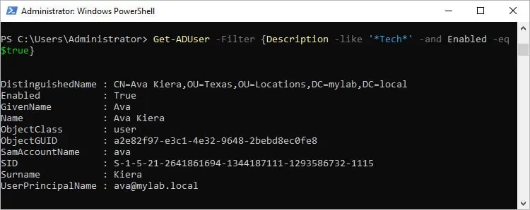 PowerShell Get-ADUser の使用方法 - Mundo Geek