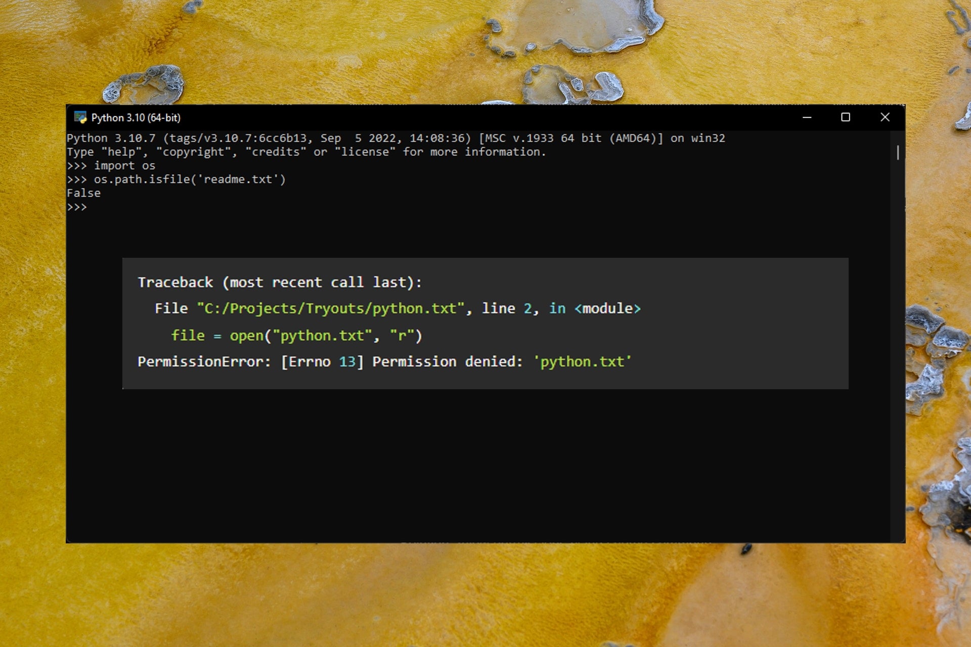 PermissionError：[Errno 13]許可拒否：[Python Fix]