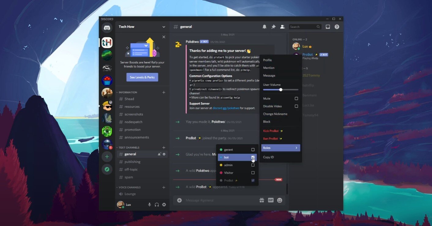Jak zainstalować i używać Probot w samouczku Discord