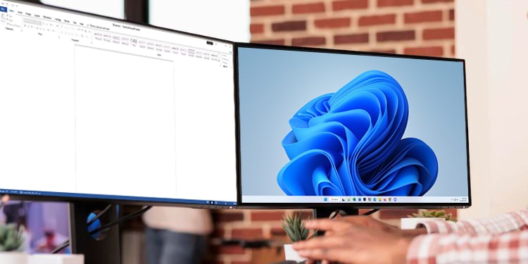 How to Daisy Monitors (przewodnik krok po kroku) - Mundo Geek