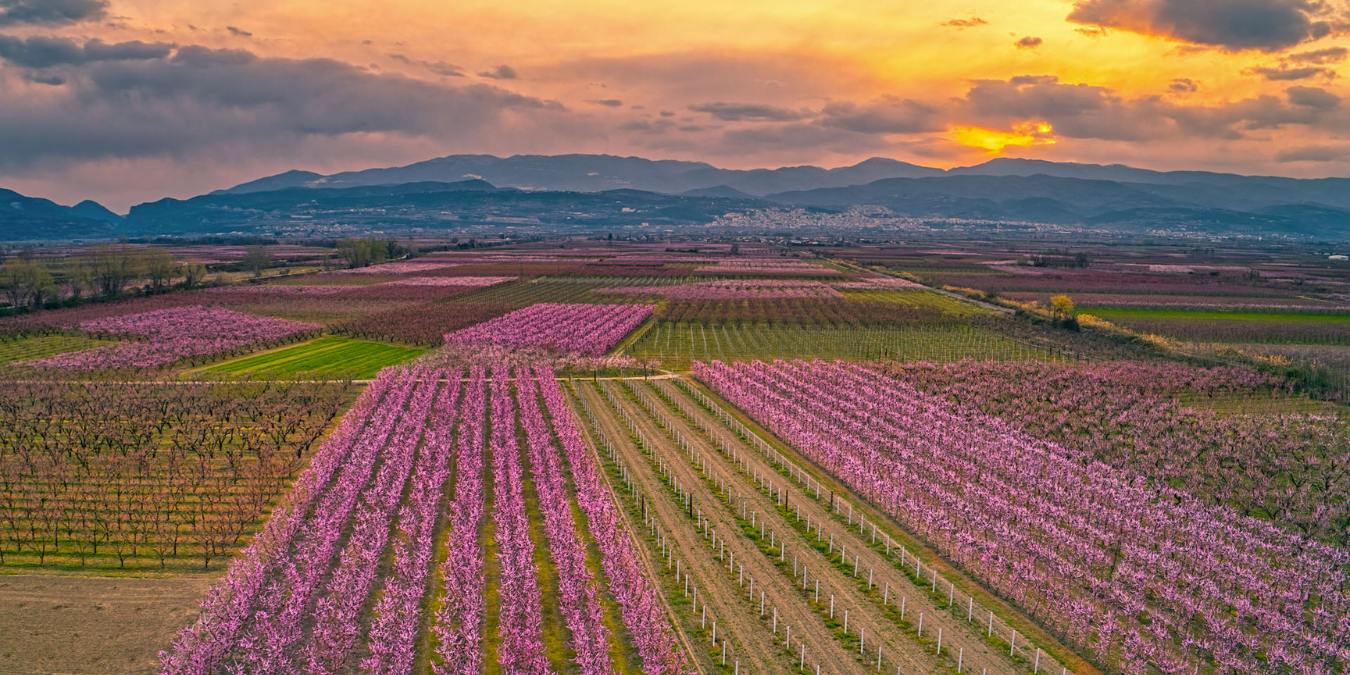 Como salvar as imagens do Windows Spotlight na sua área de trabalho ...