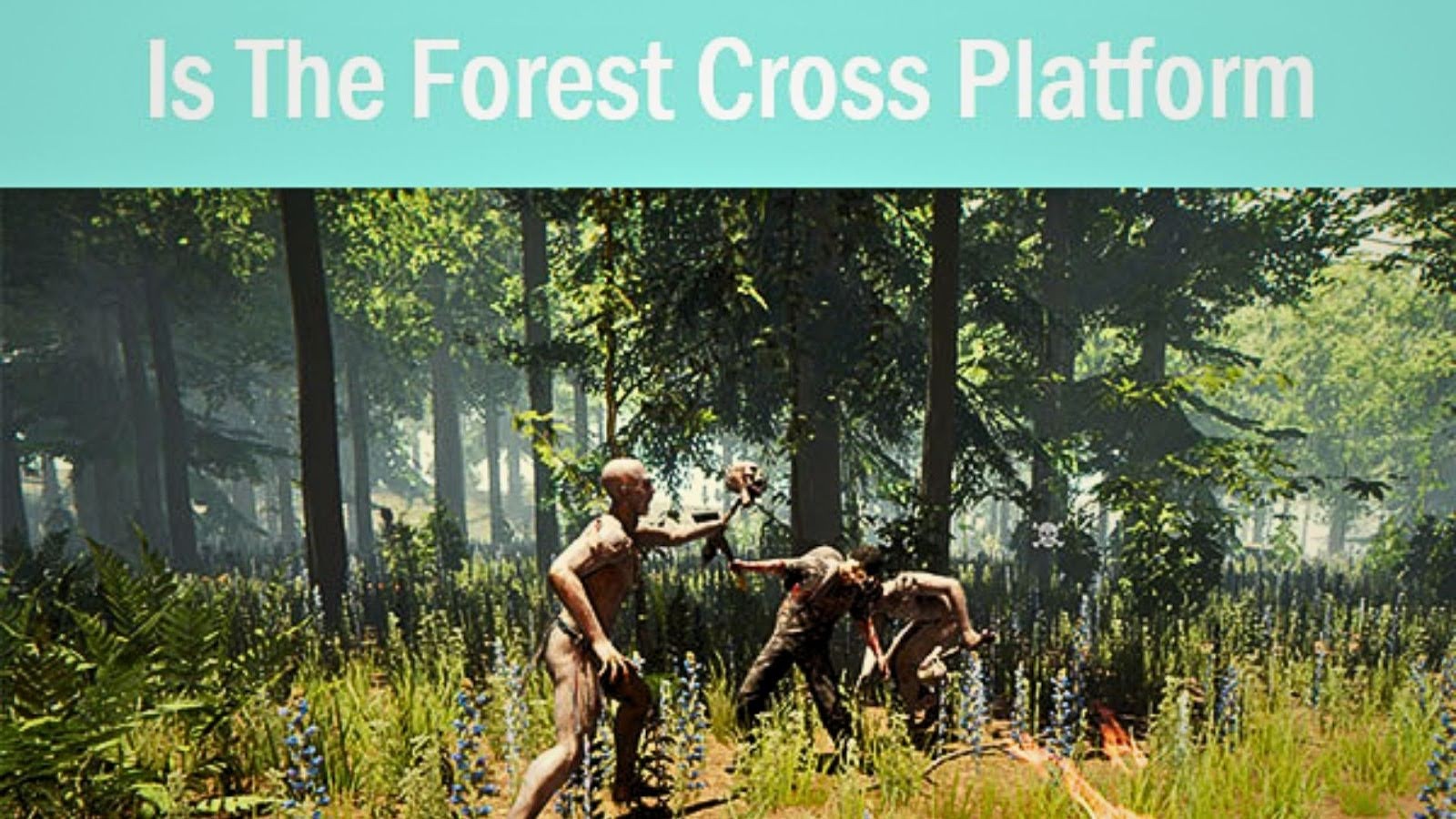 ¿Es la plataforma Forest Cross en 2025? - Mundo Geek