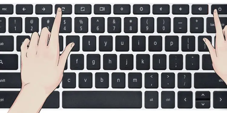 Cómo arreglar el teclado de Chromebook (10 formas comprobadas) - Mundo Geek