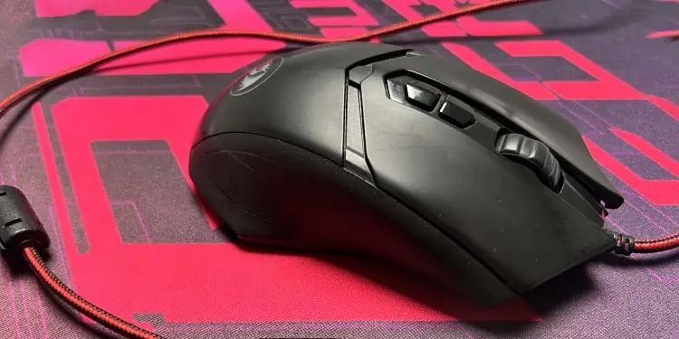 Cómo conectar el mouse a la computadora portátil