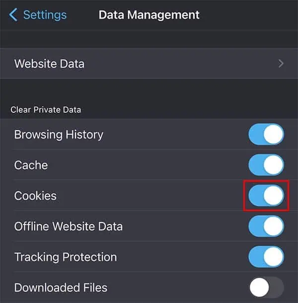 Cómo habilitar las cookies en Firefox
