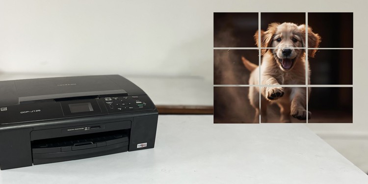 ¿Cómo imprimir imágenes grandes en varias páginas? 4 mejores maneras ...