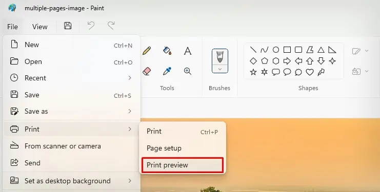 ¿Cómo imprimir imágenes grandes en varias páginas? 4 mejores maneras ...