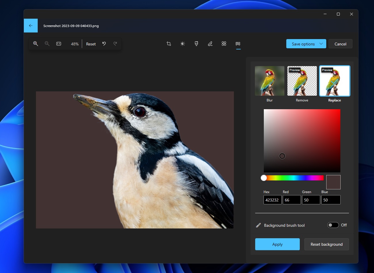 Microsoft Photos en Windows 11 prueba una gran actualización de IA con ...