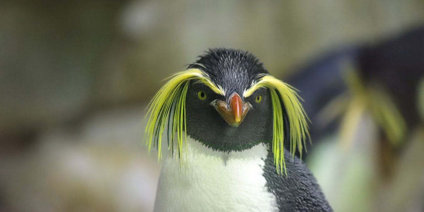 11 razones por las que deberías aprender a usar Linux