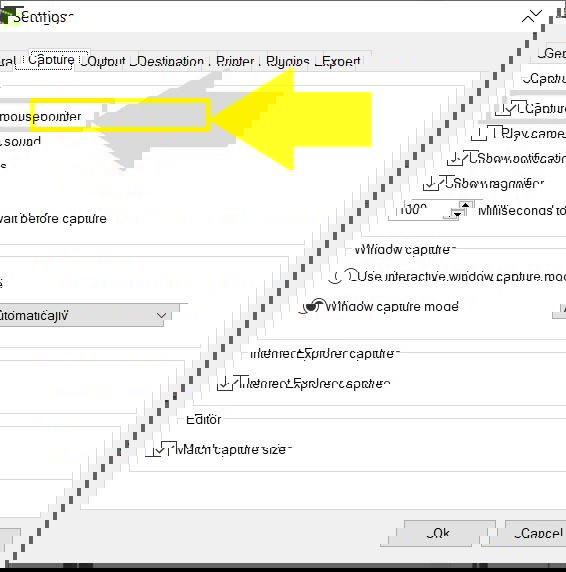 Cómo tomar una captura de pantalla con el cursor del mouse en Windows