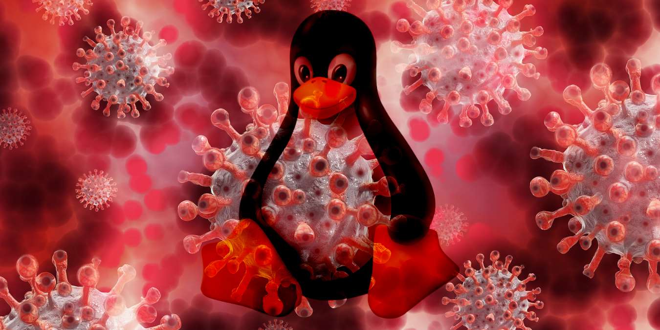 Cómo eliminar virus de Windows con Linux