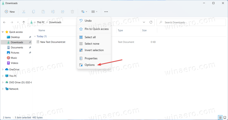 Mostrar archivos ocultos en Windows 11 - Mundo Geek